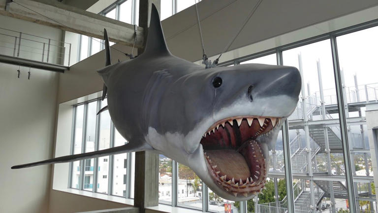 ‘Jaws' Exhibit to Take a Bite Out of Academy Museum
