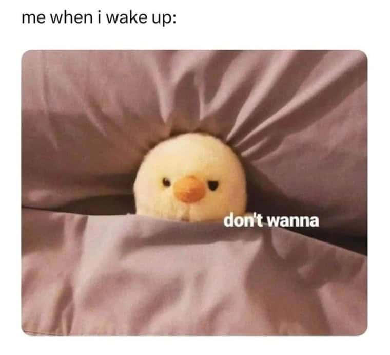 A Bevy Of 30 Memes And Tweets To Keep You Laughing All Day