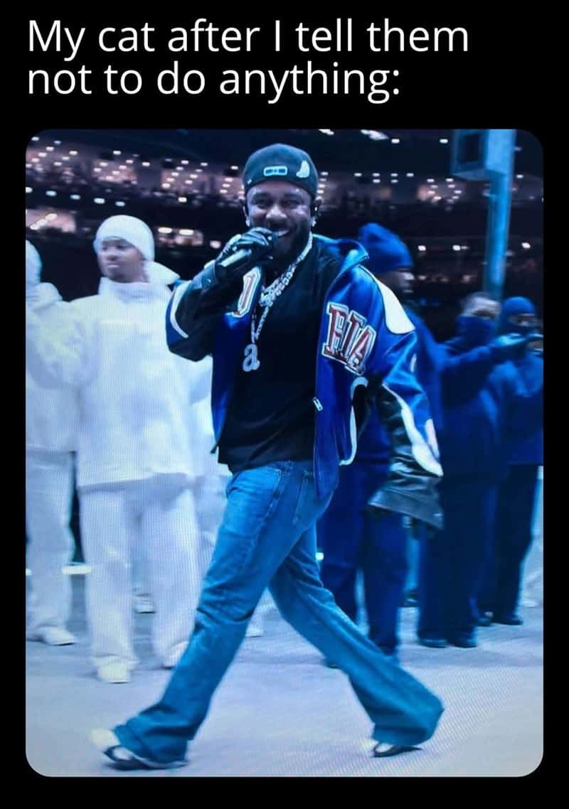 A Bevy Of 30 Memes And Tweets To Keep You Laughing All Day