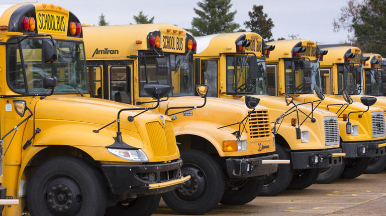 The Reason Why School Buses Are Yellow