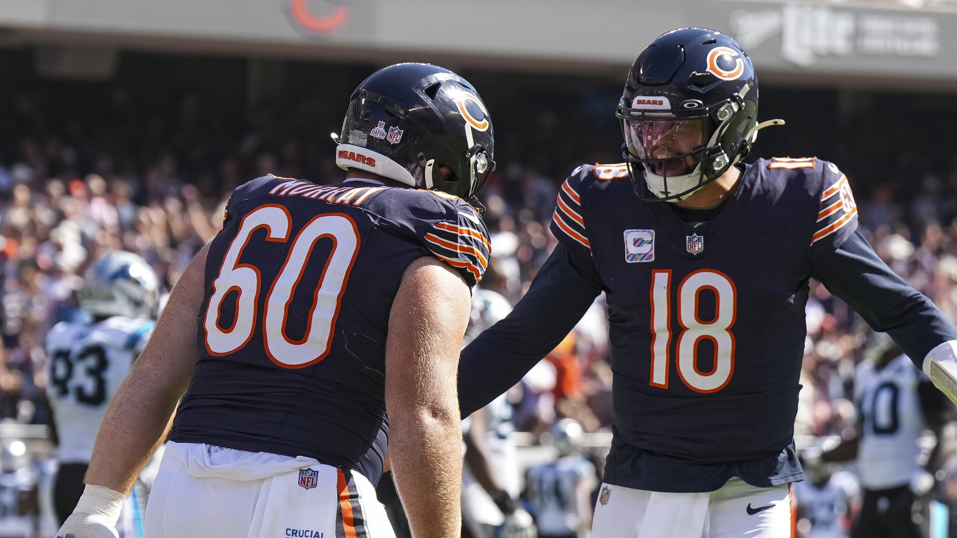 Bears will tender exclusive rights free agents Bill Murray and Daniel Hardy