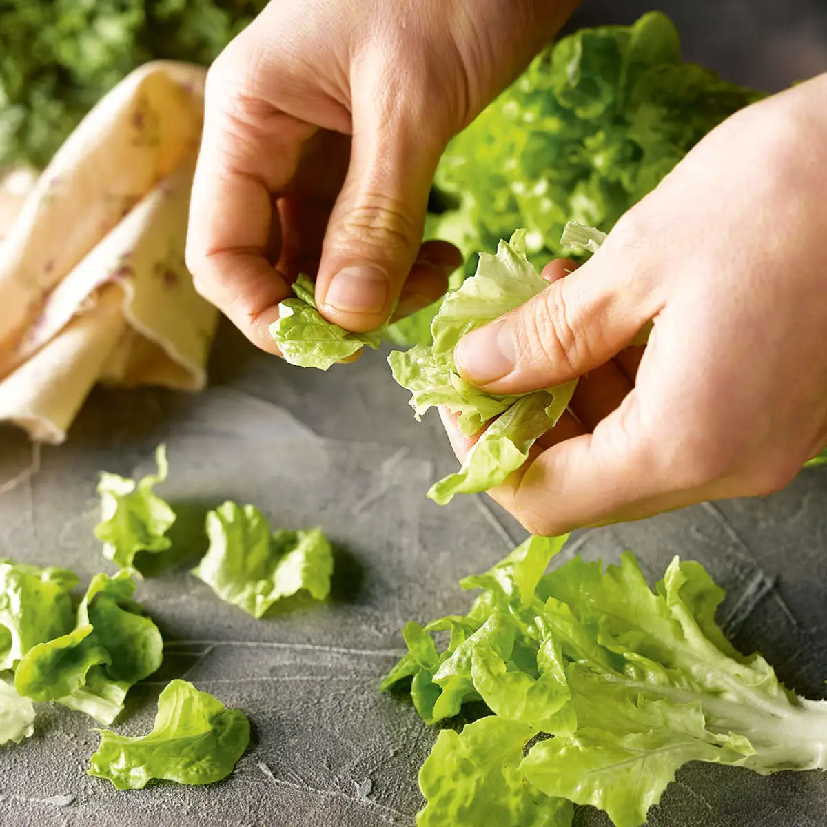 Antes la lechuga se me ponía mustia enseguida, ahora uso el truco del ...