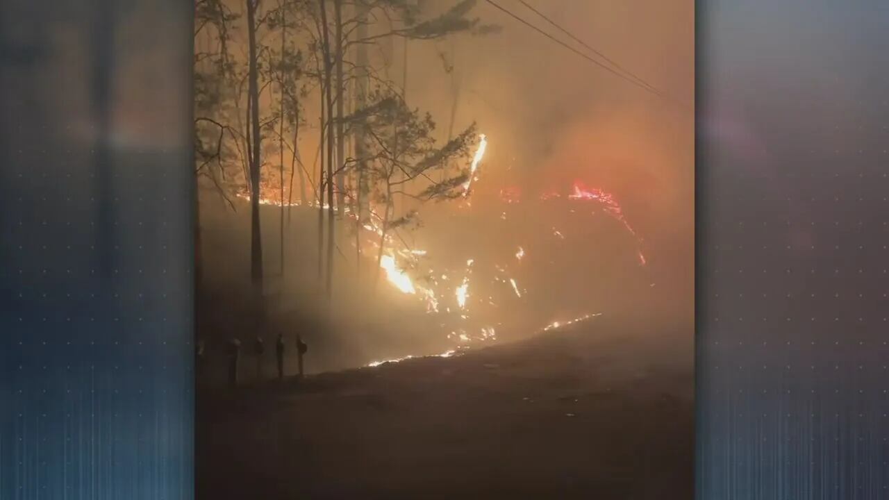 Grandmother evacuates 7 kids to safety after power lines spark wildfire ...