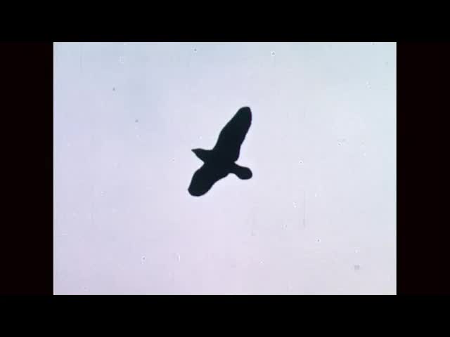 Legend of the Raven: Inuit Stone & Ivory Carvings of Cape Dorset