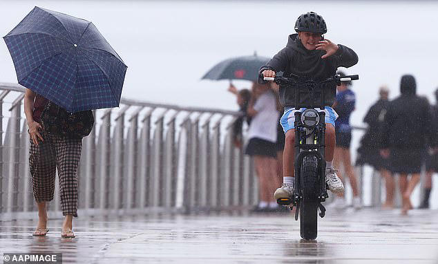 Cyclone Alfred impact zone: What you need to know