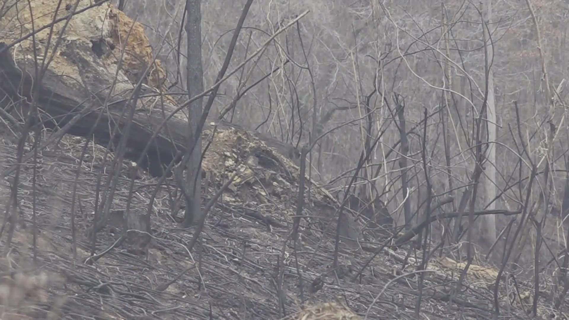 Monroe County fire crews continue to work in containing wildfires