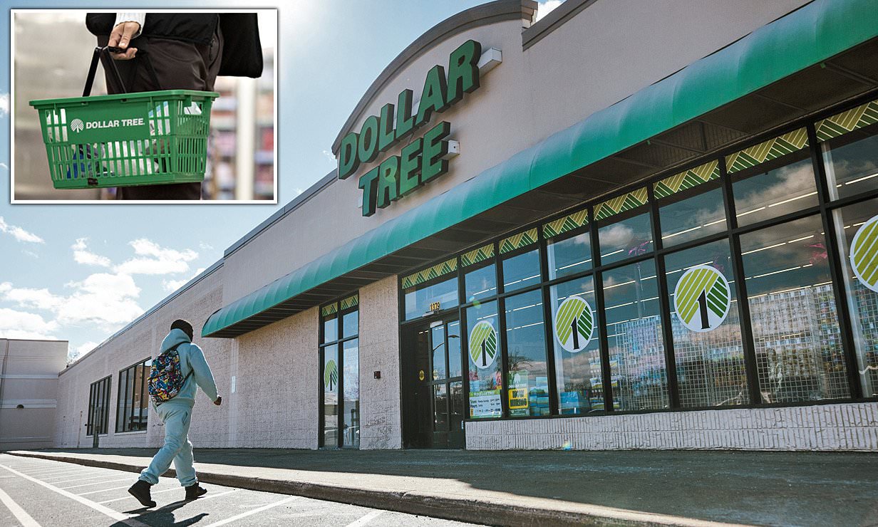 The viral Dollar Tree products customers are rushing to buy
