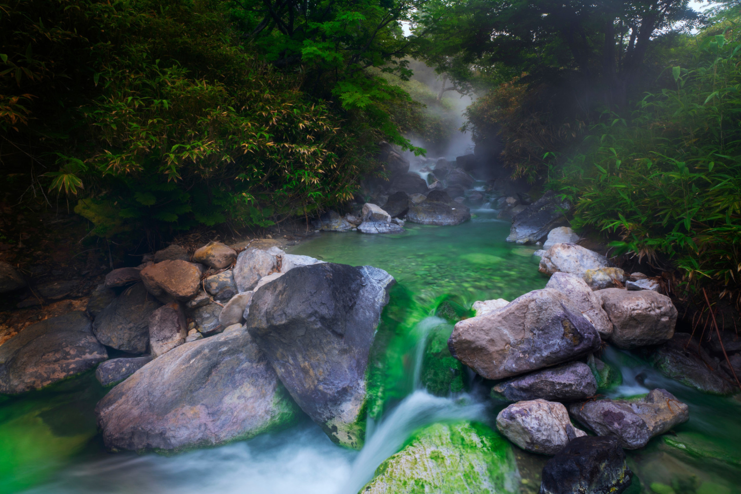 What can we learn from the Amazon's "Boiling River"?