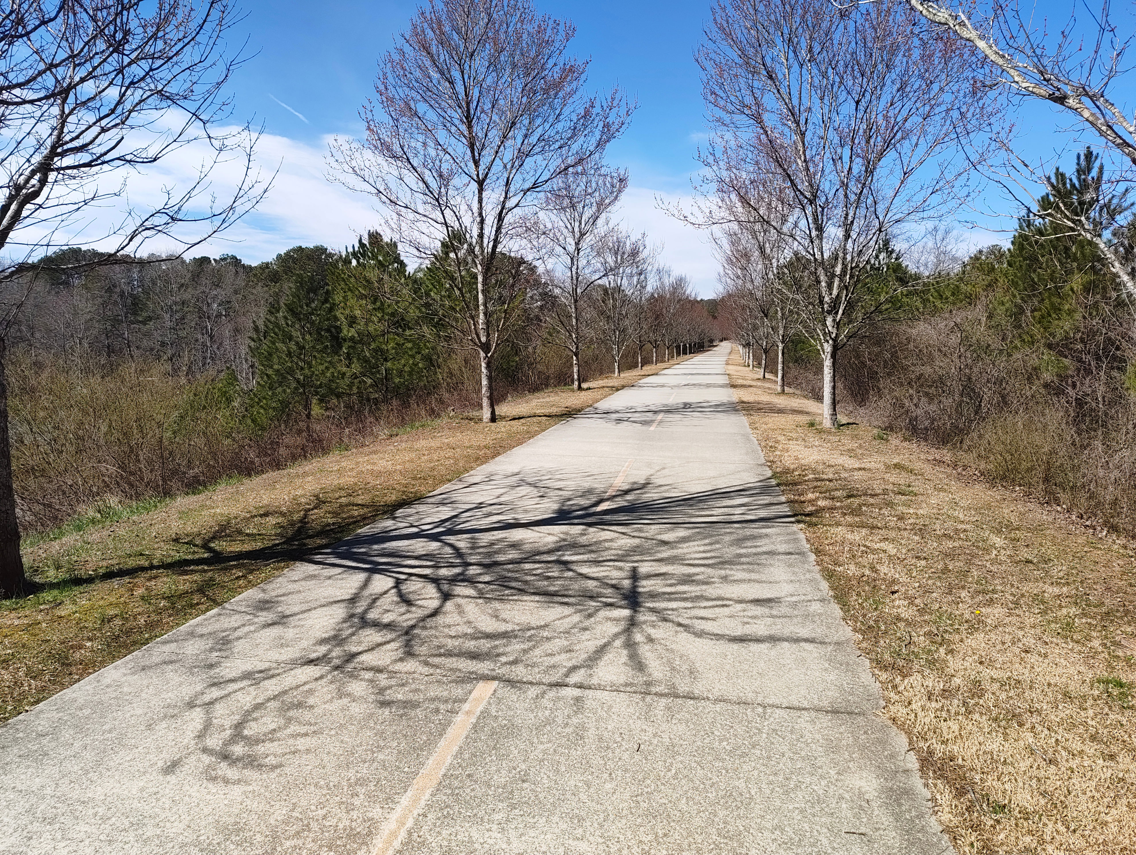 Nothing Phone 3a – Camera Samples