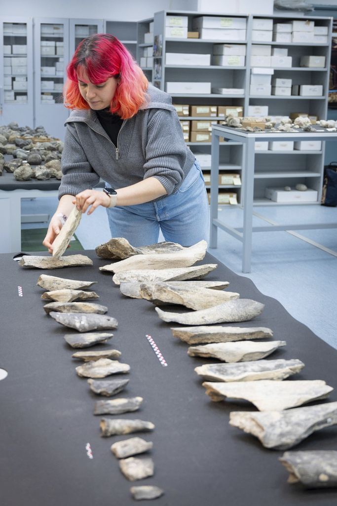 Ancient humans made tools from animal bones 1.5 million years ago