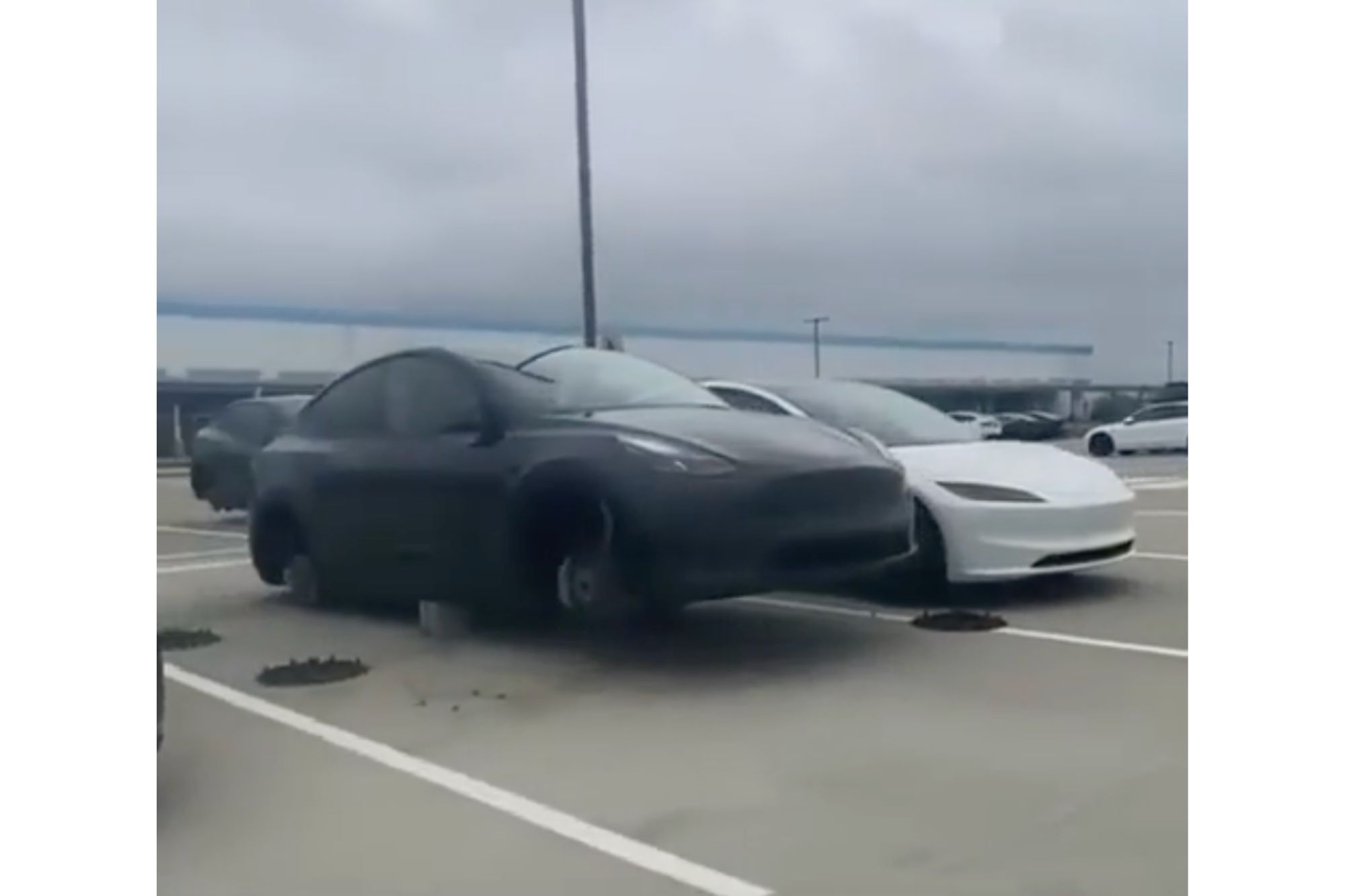 Texas Tesla Dealer Hit by Wheel Thieves Amid String of Attacks on Musk ...