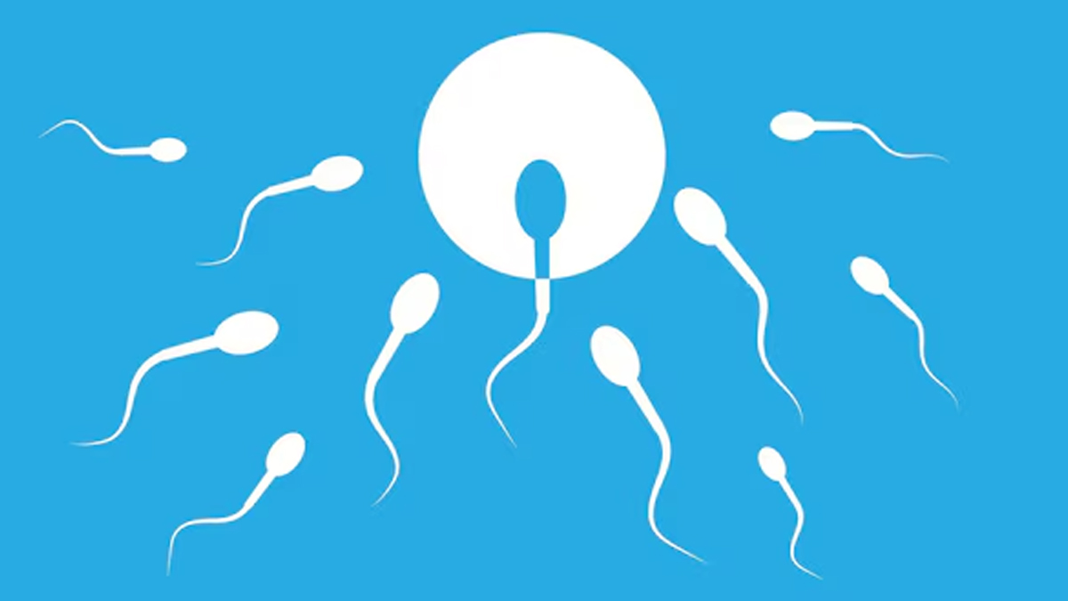 What Is Intracytoplasmic Sperm Injection (ICSI)? Expert Details The IVF Fertility Treatment