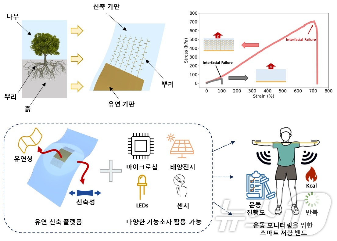 KAIST, 식물 뿌리 닮은 생체 모사로 '신축성 전자기기' 한계 극복