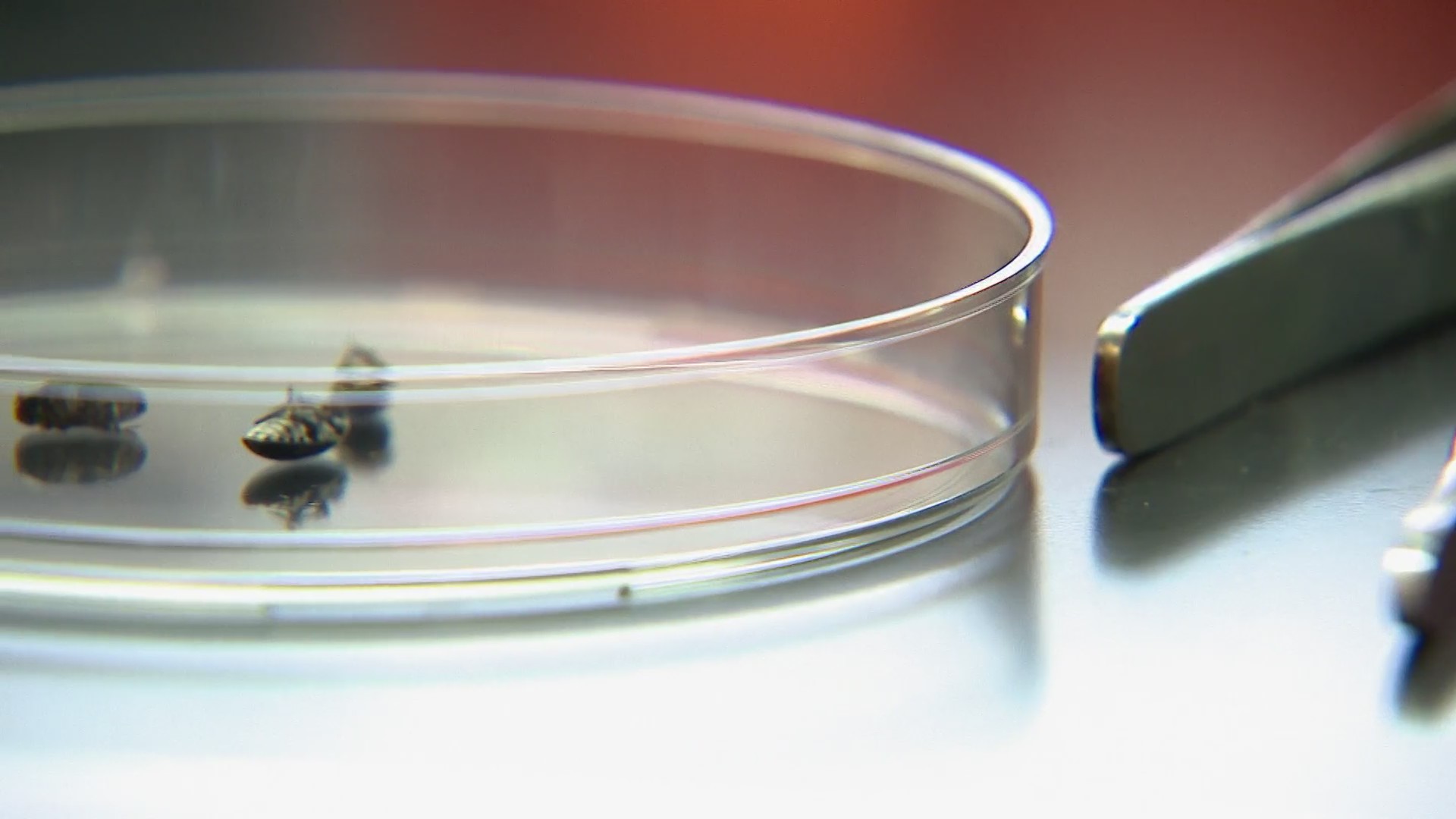 Girls can get inspired by women in STEM careers at Girls & Science ...