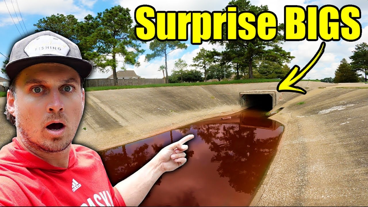 Driving past these fishing spots cost me giant fish