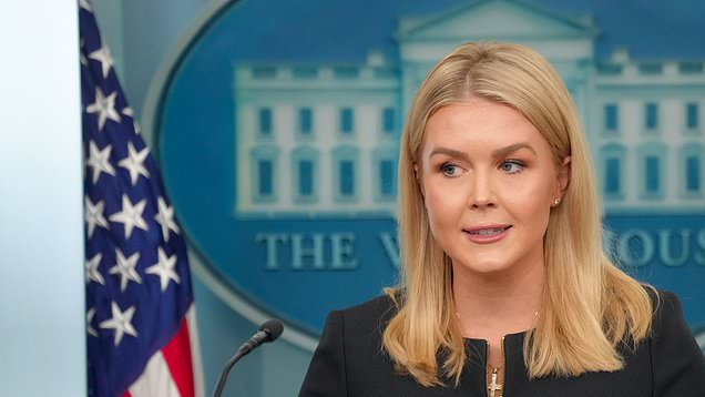 Karoline Leavitt weighs in on White House dress code after Zelensky berated
