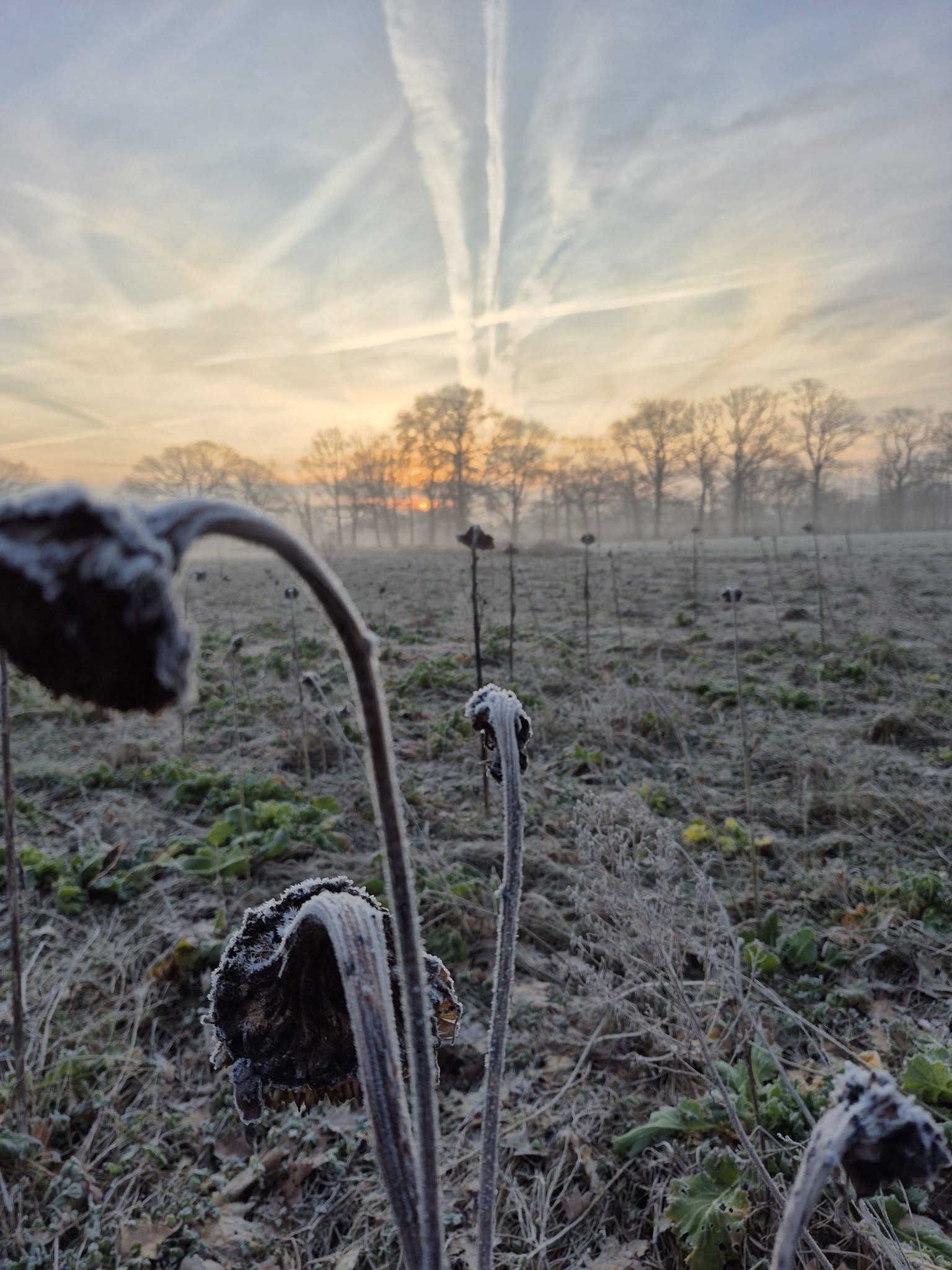 Weerman Samuel: "Van 20 naar 7°C op enkele dagen tijd, dat wordt wennen"
