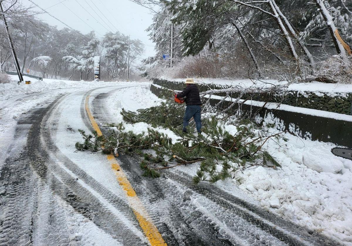 절기 무색 ‘청개구리 겨울’…대한땐 이상고온, 입춘엔 한파