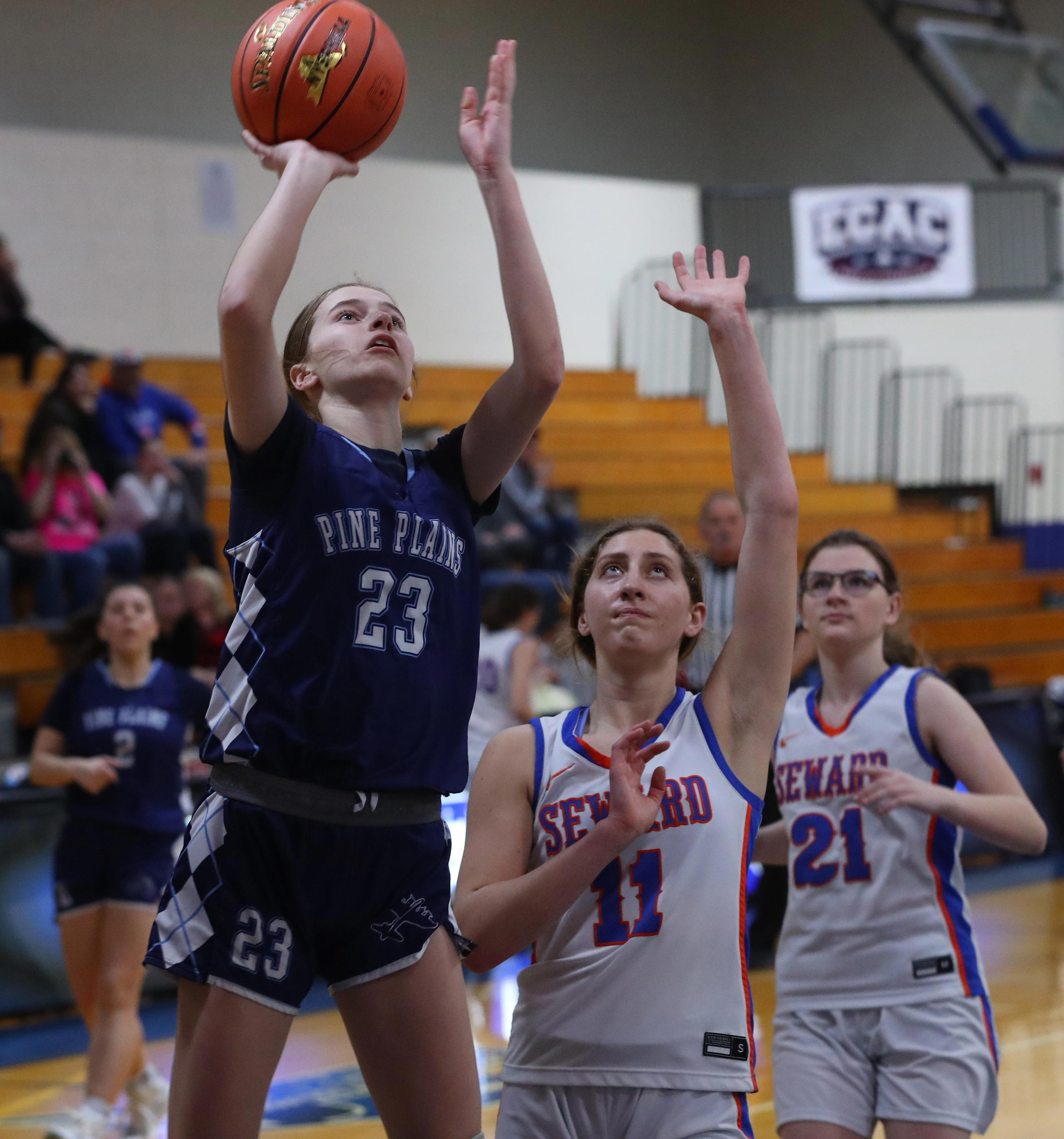 Girls basketball: Rennie, Brenner lead Pine Plains to first Section 9 ...