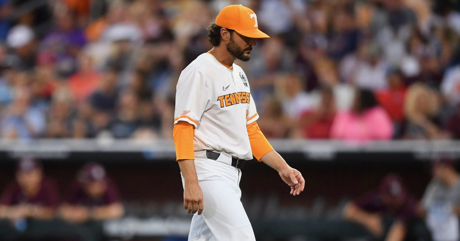 Everything Tony Vitello said on a midweek win over Xavier