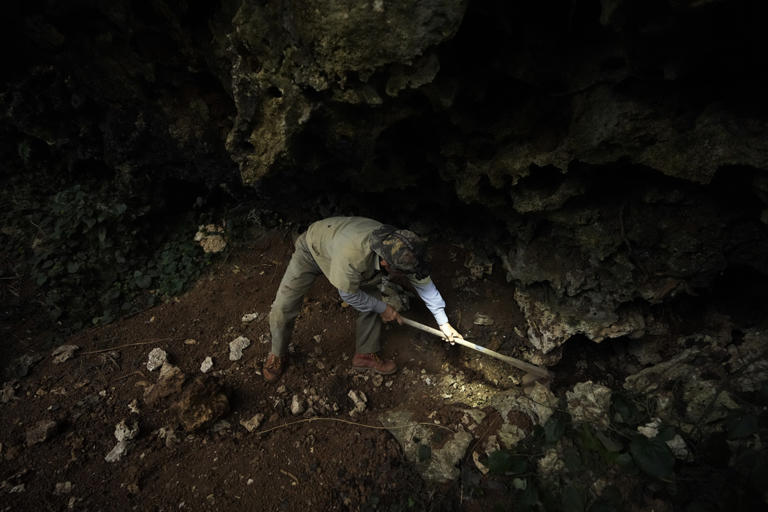 An Okinawan bone digger searches for remains from one of the fiercest ...