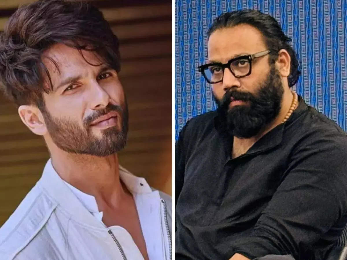 Animal director Sandeep Reddy has a career advice for Shahid Kapoor ...