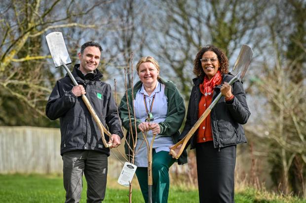 On This Day: Trees planted at Bradford hospital