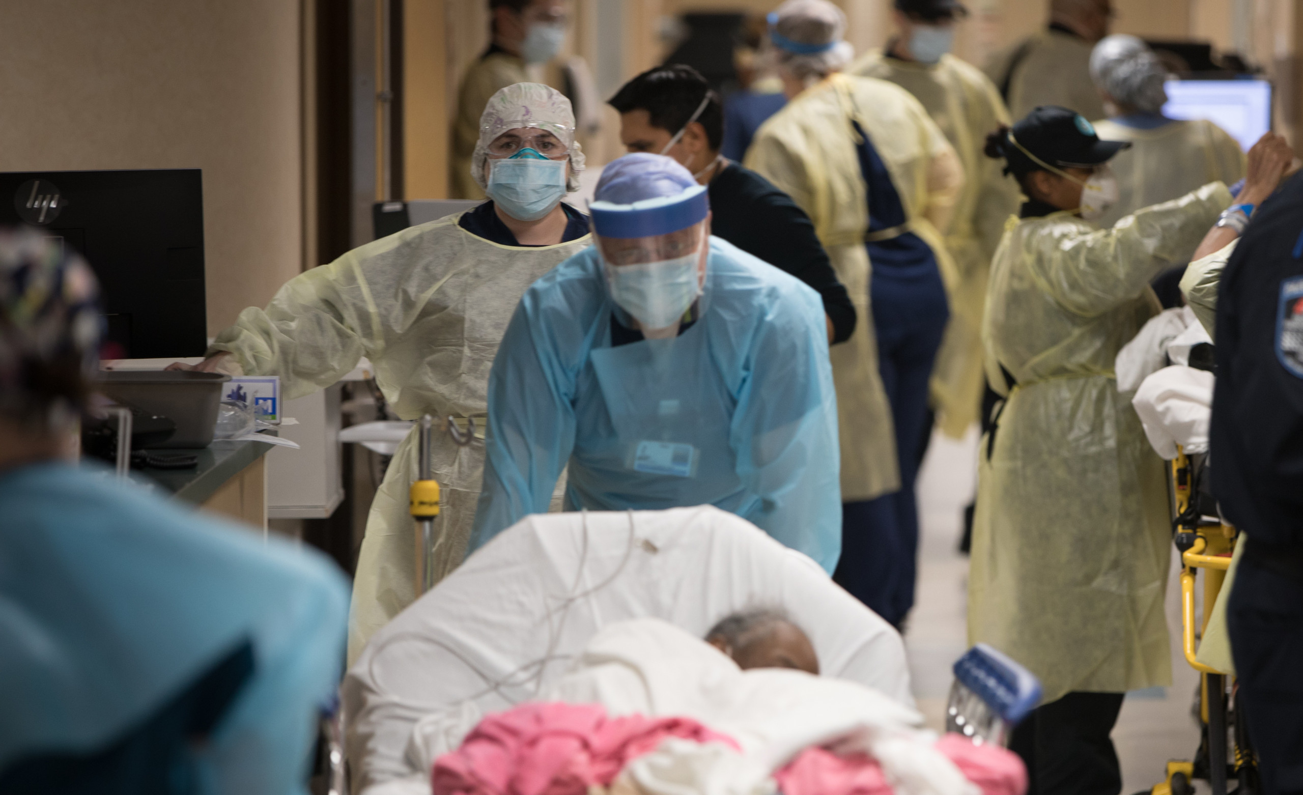 Human metapneumovirus: what is this killer virus nobody has heard of?