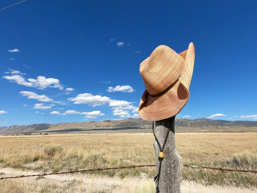 Democrats make calls to invest in rural, working-class communities in NV