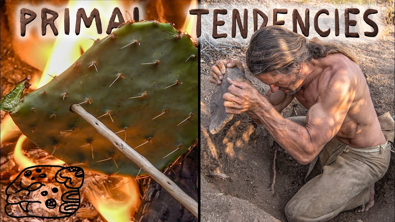 Primitive Life at the Survival Shelter