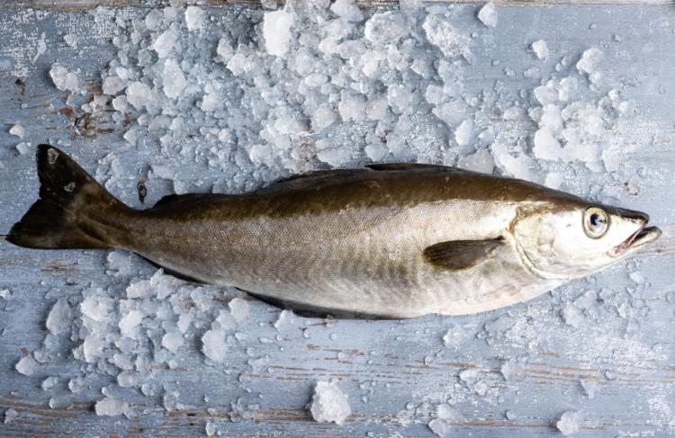 Comment choisir et cuisiner le lieu jaune ? Trois questions sur ce ...