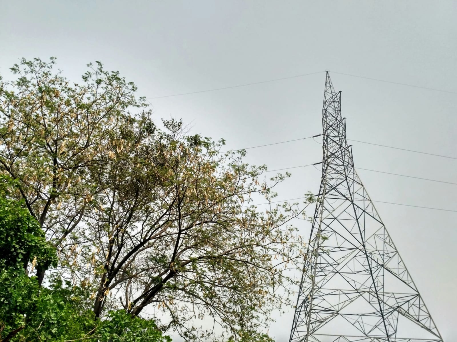 From NTPC to Tata Power: 5 power stocks to watch as India braces for ...