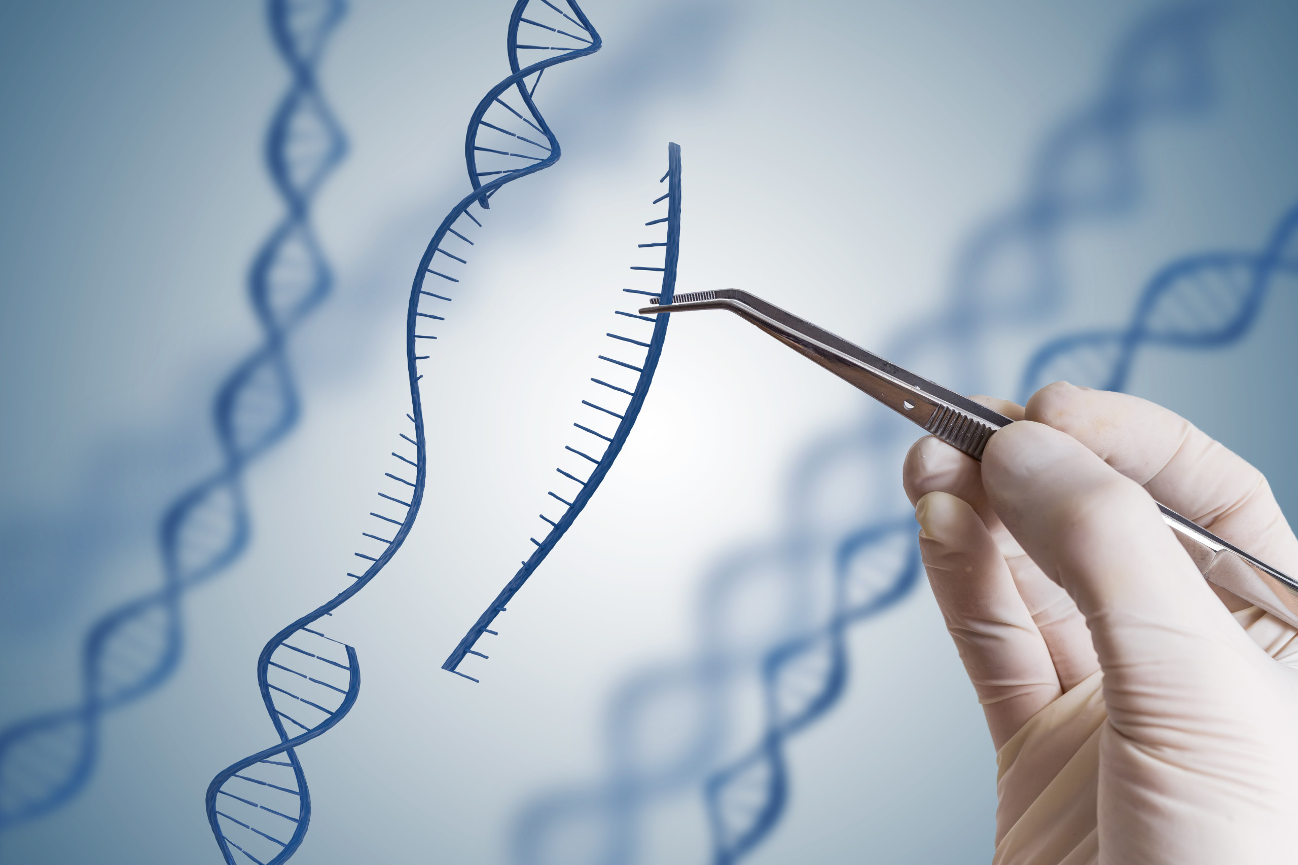 The gene editing debate: should we alter our children's DNA?