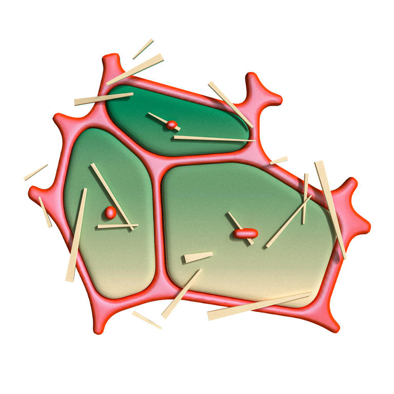 Inside the scientific quest to reverse human aging