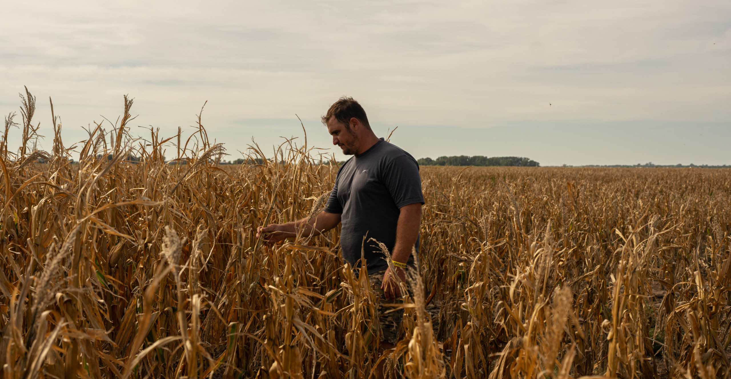 Key climate events to watch out for in 2025