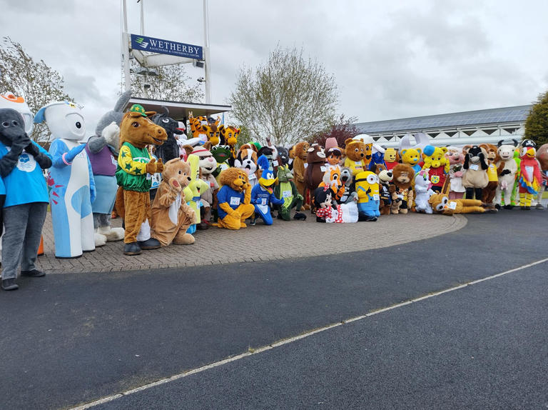 Paw-some Mascot Gold Cup races back to Wetherby for Sue Ryder