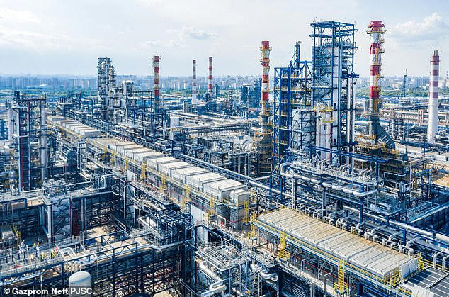 The 36 companies responsible for HALF the world's carbon emissions