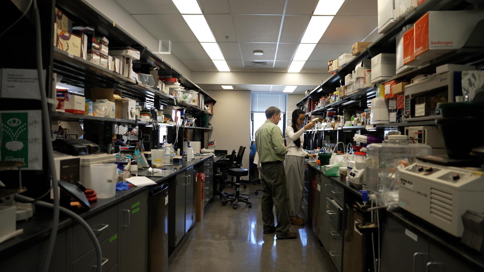 Jobs lost in every state and life-saving cures not discovered: The ...