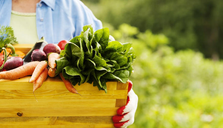 12 Reasons Why Organic Food is Healthy