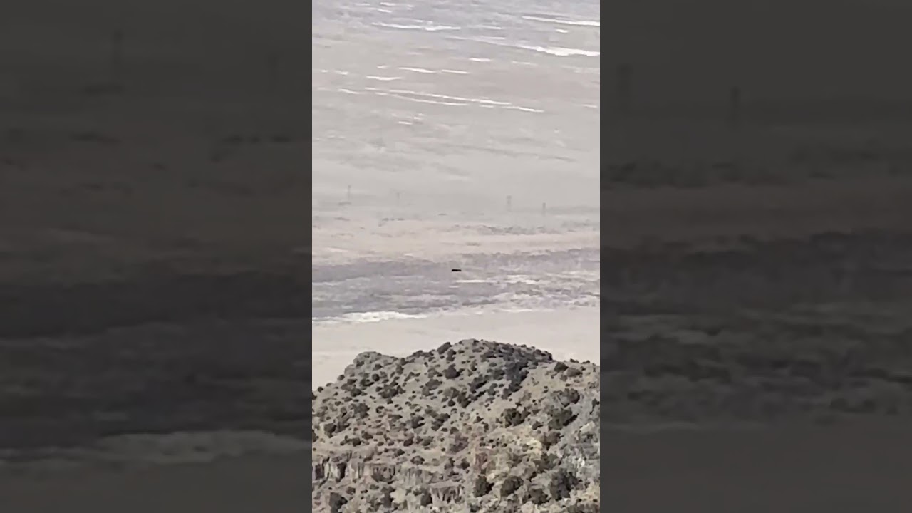 Human flying a squirrel suit 😮