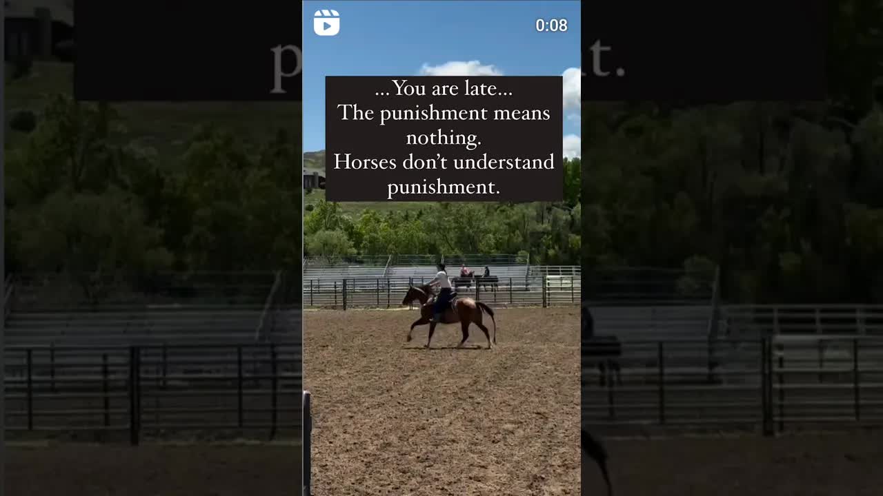 Horse Training: Release & Timing for Barrel Racing