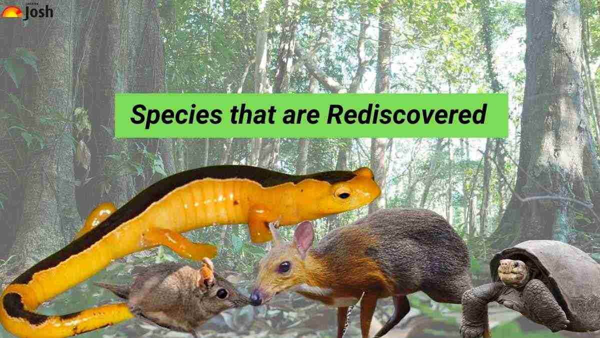 What are the Eight Species that are Rediscovered After Being Lost for ...
