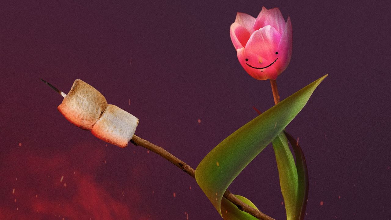 11 spring break camps you can still sign the kids up for