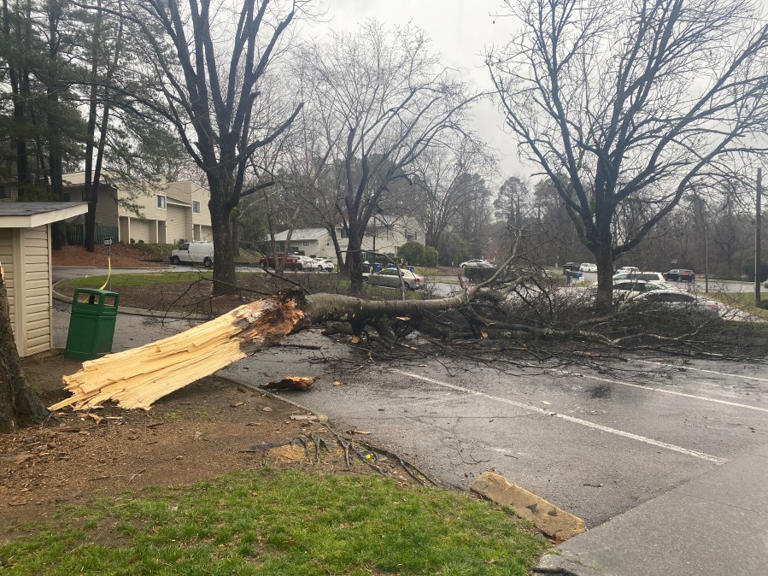 PICTURES: A look at the damage in central North Carolina after ...