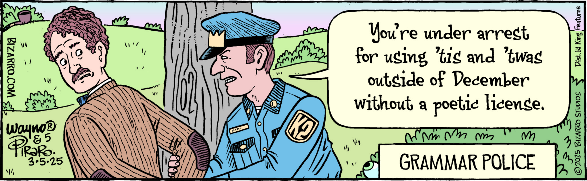 Bizarro by Wayno & Piraro