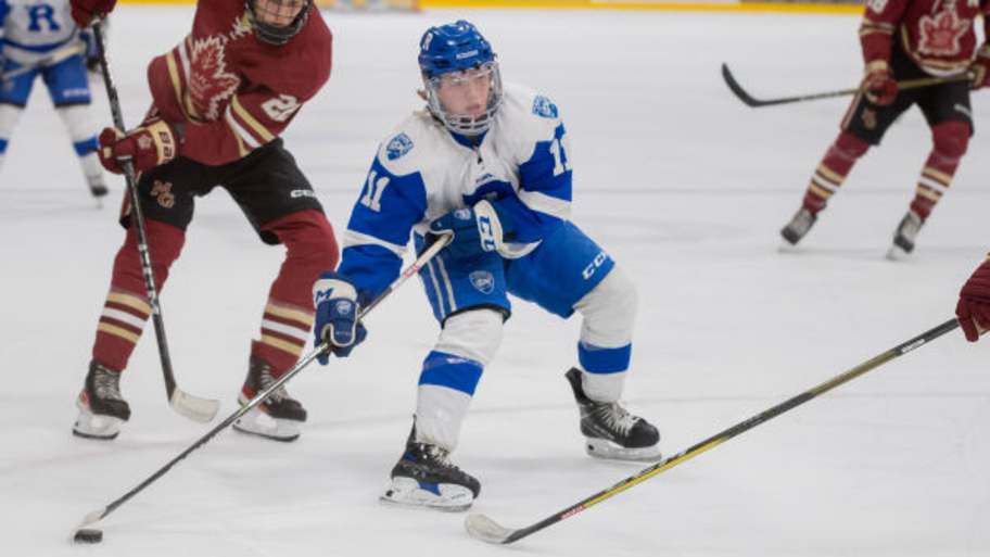 Minnesota high school boys hockey state tournament: Day 2 scores ...