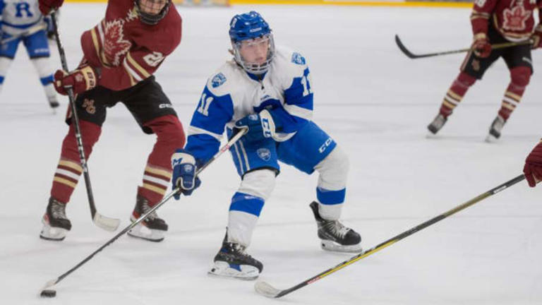 Minnesota high school boys hockey state tournament: Day 2 scores ...
