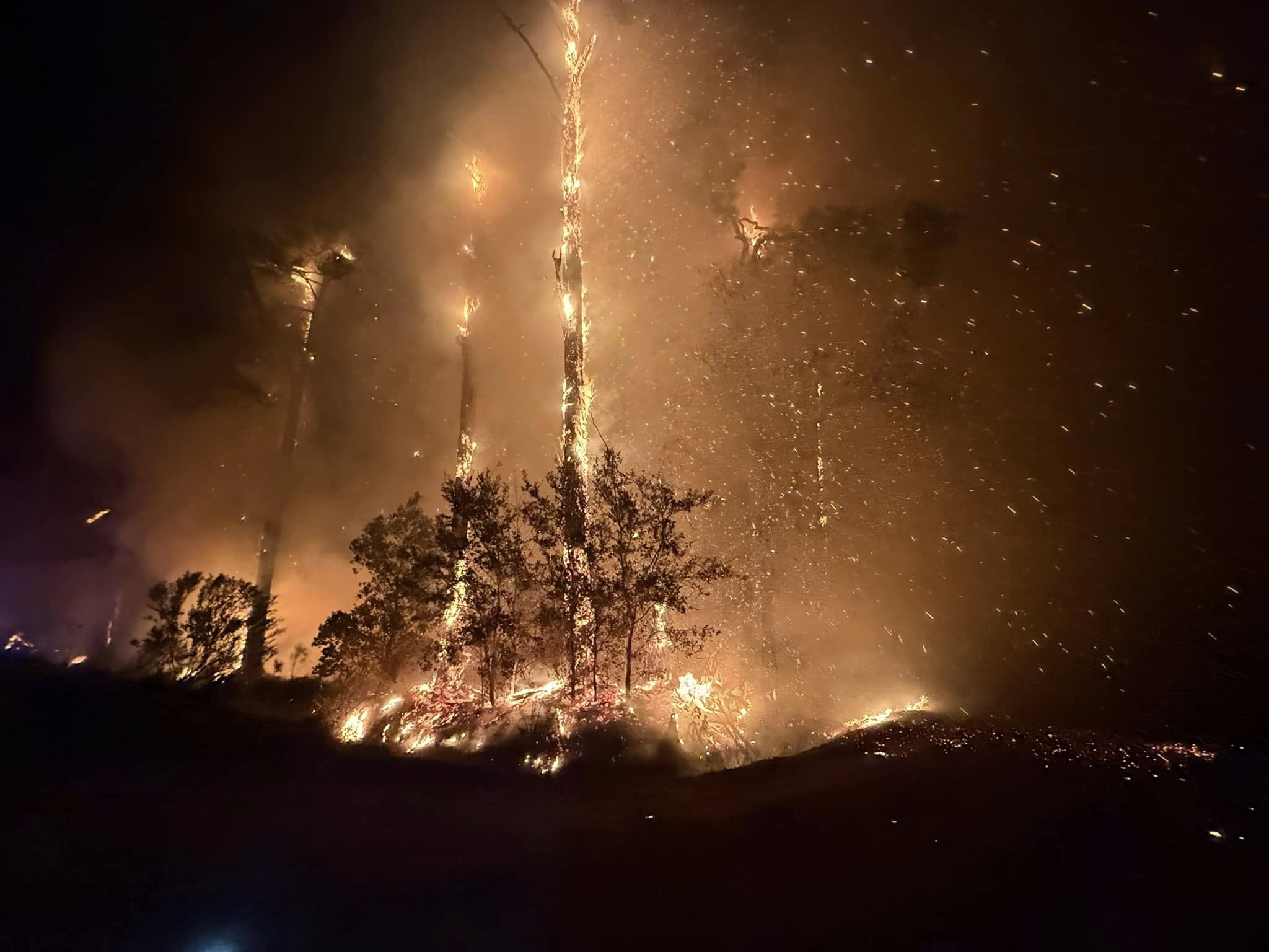 St. Johns County brush fire scorches six acres of woods