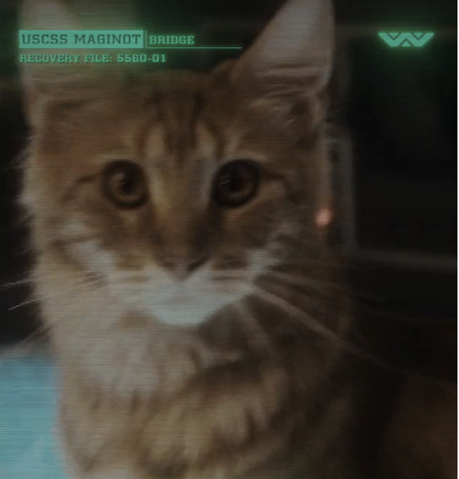 ‘Alien: Earth' Drops New Videos Featuring New Cast & Curious Ginger Cat