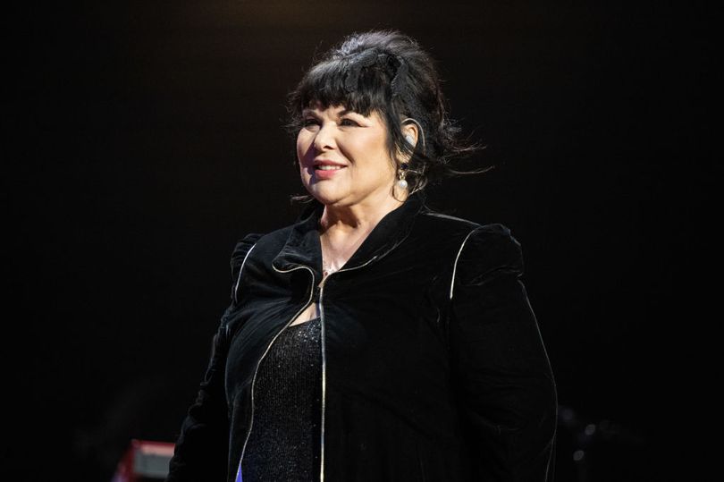 Heart singer Ann Wilson forced to perform in wheelchair due to injury ...
